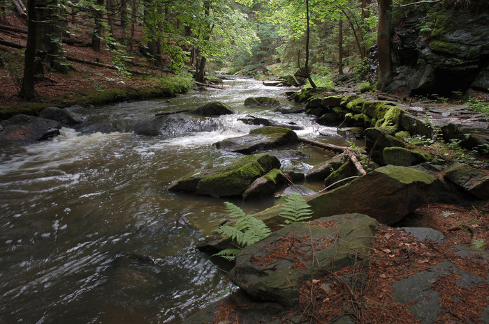 Krajem-reky-doubravky